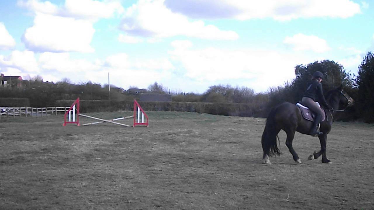 Queenie broncing - YouTube