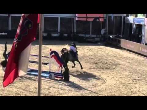 Stallion by Cassini I x Contender, *2008 - YouTube