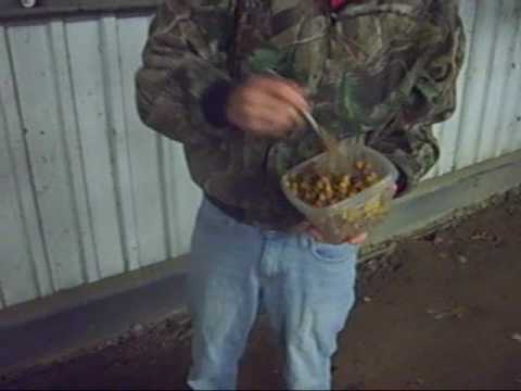 Redneck Park - The Perfect Homemade Raccoon Bait ! For Trapping! - YouTube