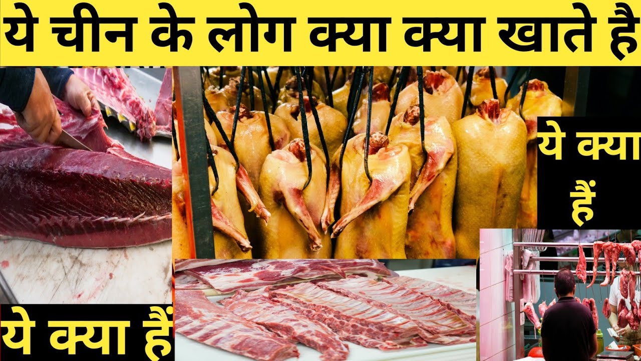 देखिये चीन के लोग क्या क्या खाते हैं!chin people stronge food eat, chin ...