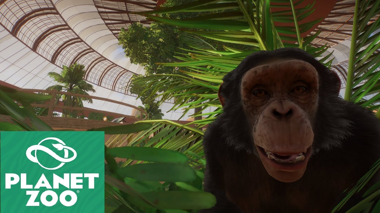 Planet Zoo - Chimpanzee Dome Habitat Speed Build - Zoo Update and ...