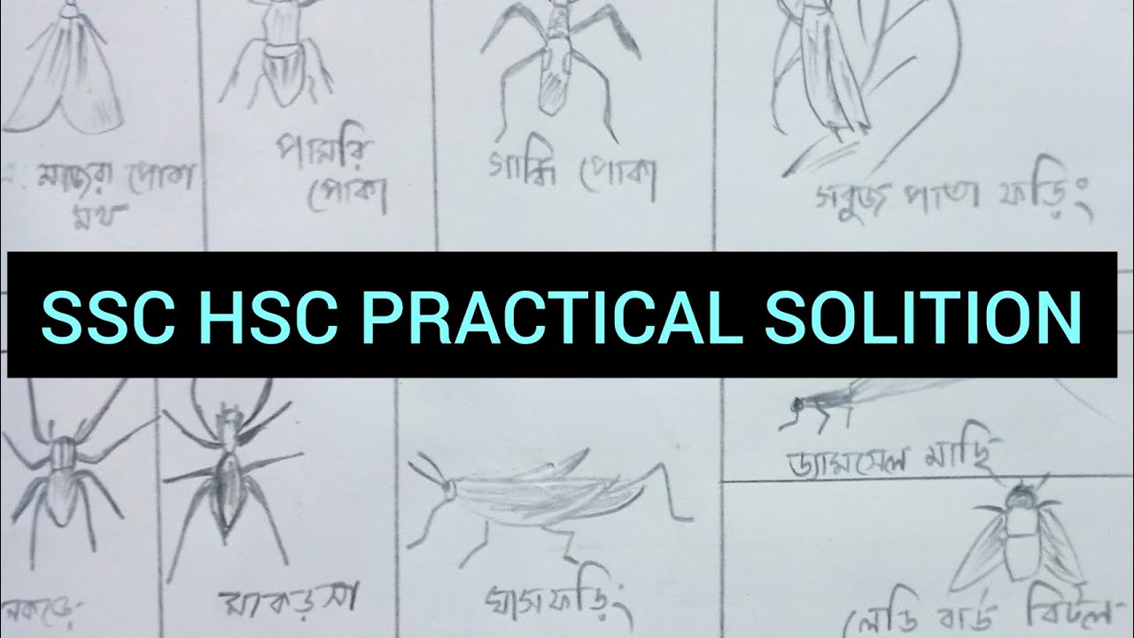 Agriculture studies practical solution SSC 2022 HSC Physics chemistry ...