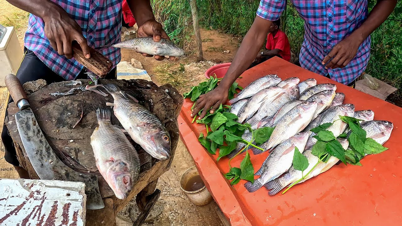 Popular Sri Lankan Thilapia Fish Cutting Skills | Street Fish Market ...