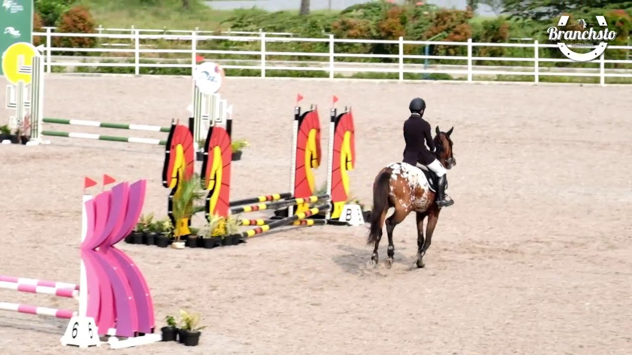 INDONESIA HORSE SHOW 2019 @JIEP PULOMAS - YouTube