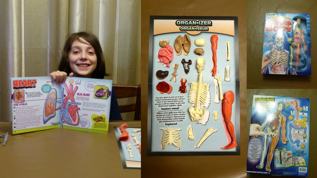 Squishy Human Body Toy | By SnakyLand - YouTube
