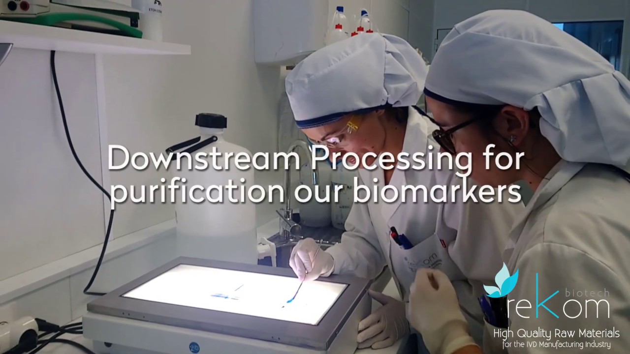Downstream Processing for purification our biomarkers - YouTube