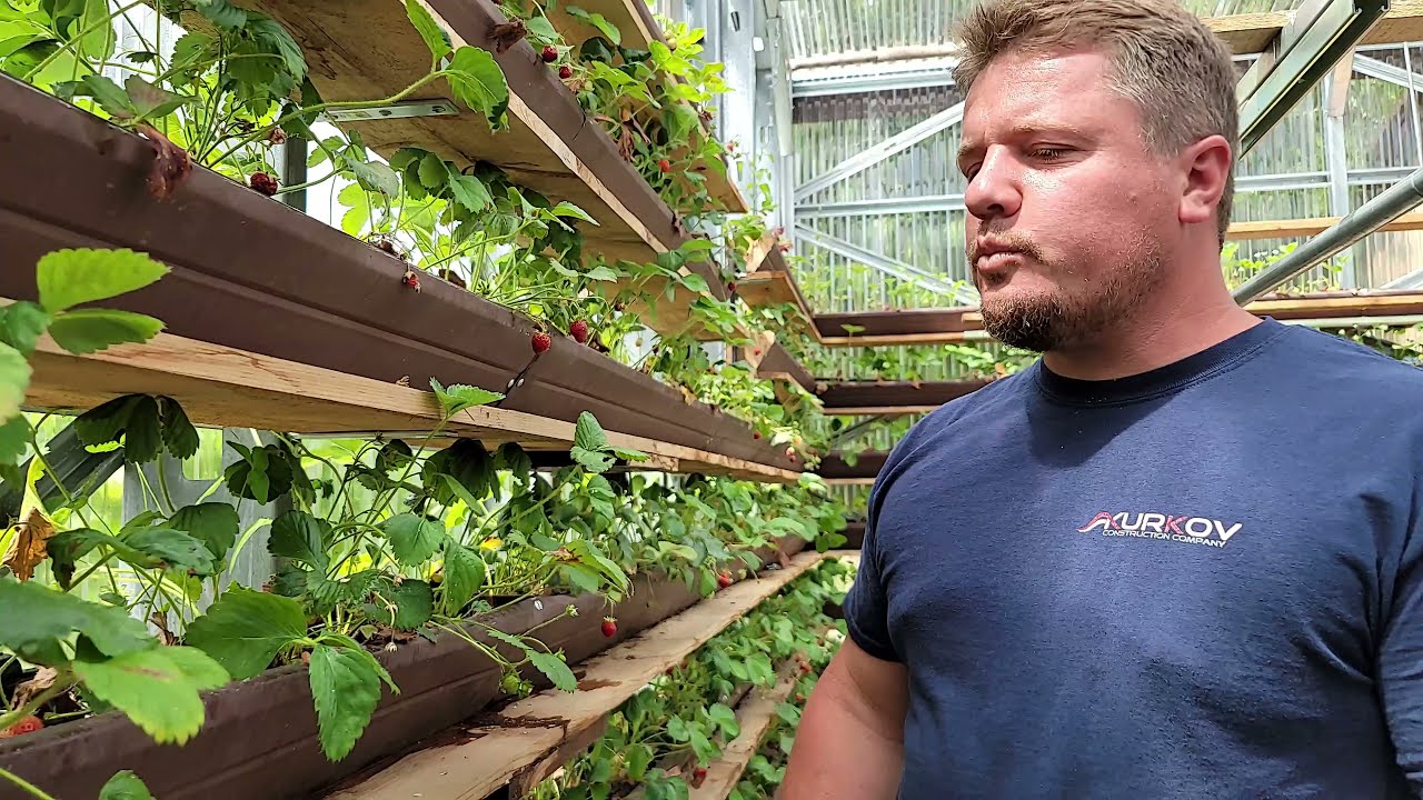 Gutter Garden, DIY Rain Gutter Strawberry Planter, vertical garden ...