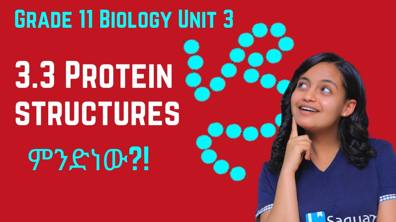 Grade 11 Biology Unit 3: 3.3 Protein structures| Saquama - YouTube