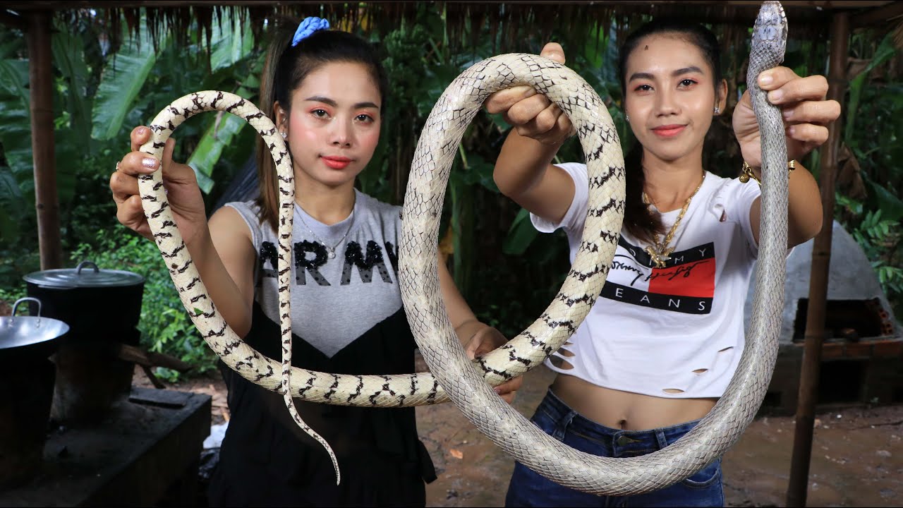 How to cook soup snake recipe in my village - YouTube