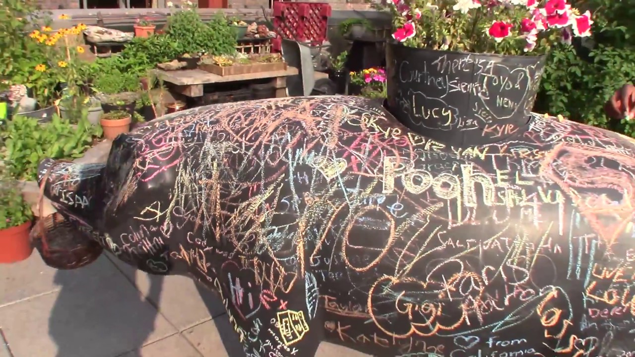 Seattle Talent Agency and the Best Actor in the World - YouTube