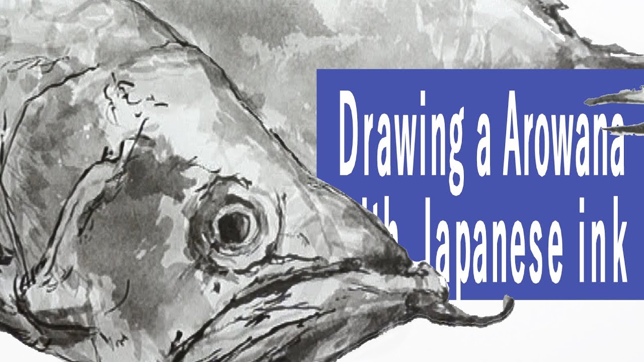 How to draw an Arowana with sumi ink. - YouTube
