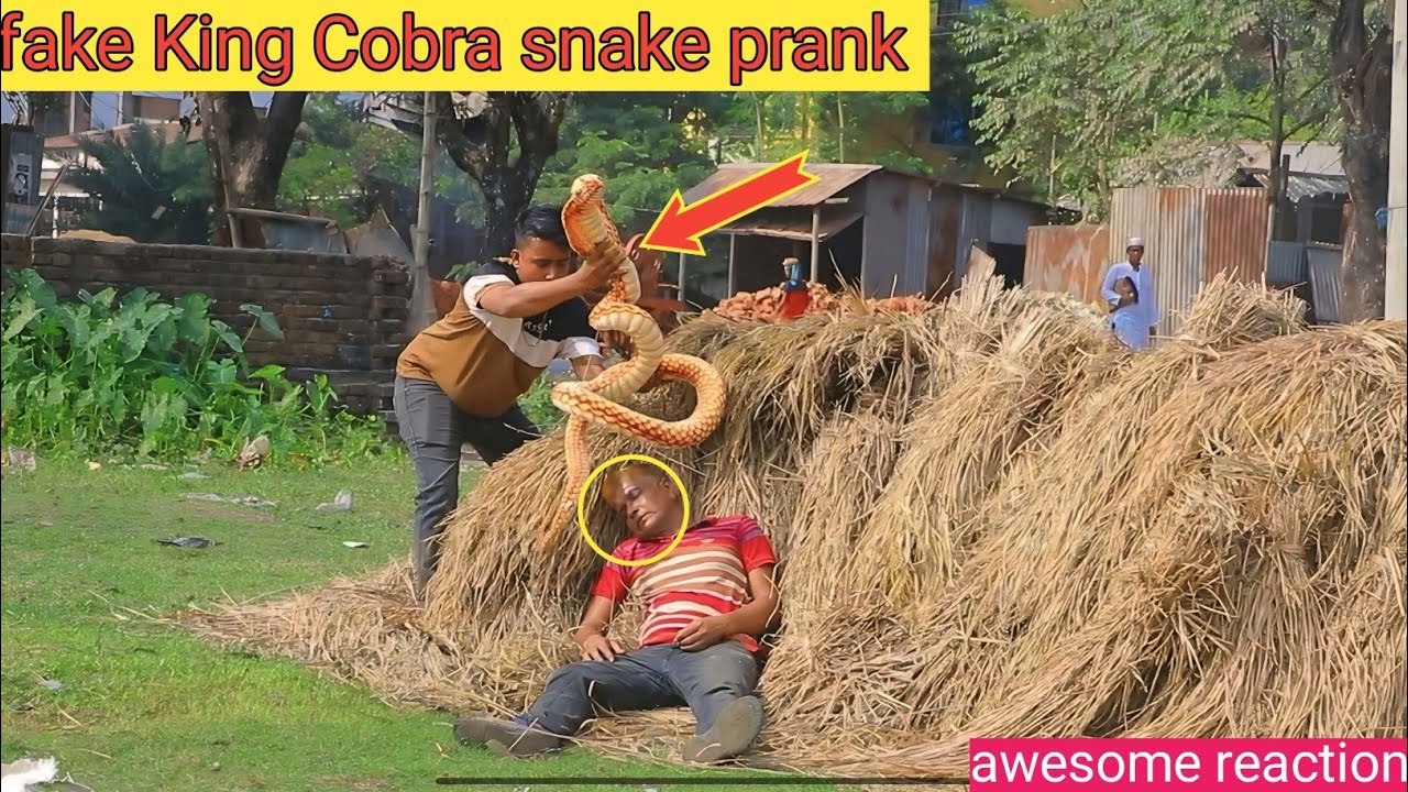 fake King Cobra snake🪱 prank 2025 public one awesome reaction By Razu ...