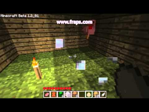 Minecraft- The use of the chicken egg. - YouTube