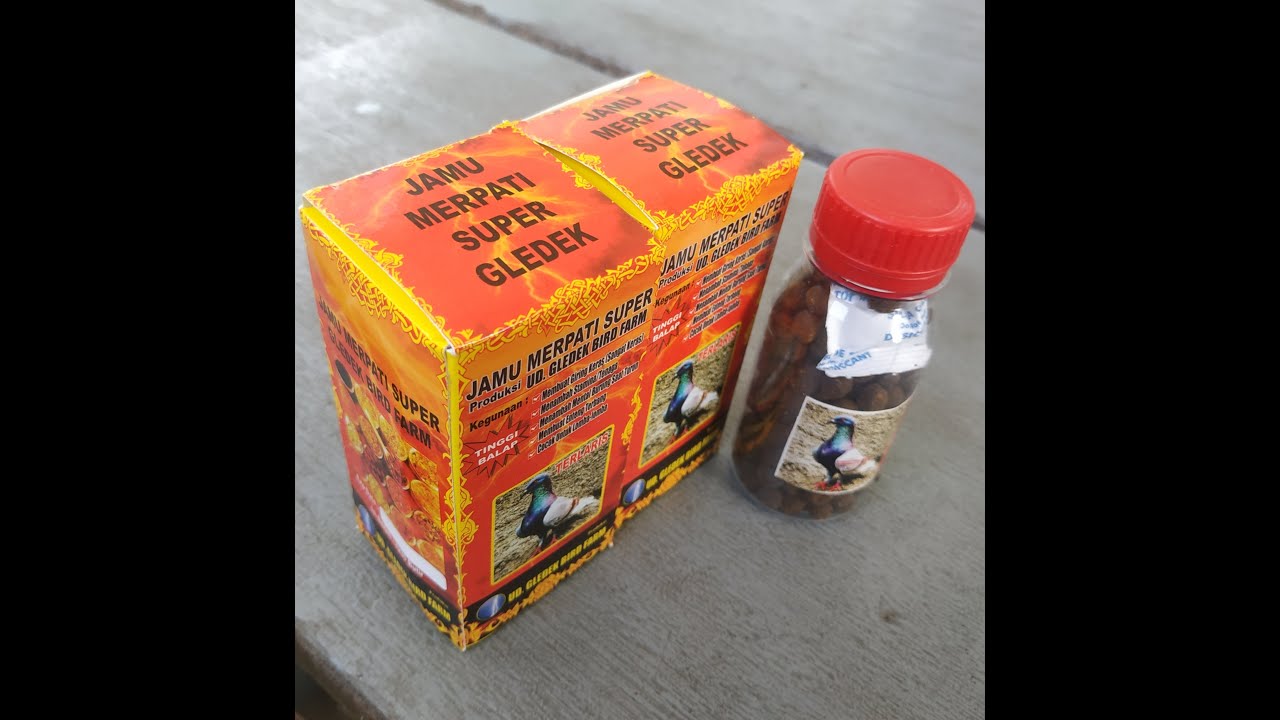 WA 0821-3380-5234 Jual Jamu Merpati Yang Bagus, Vitamin Untuk Merpati ...