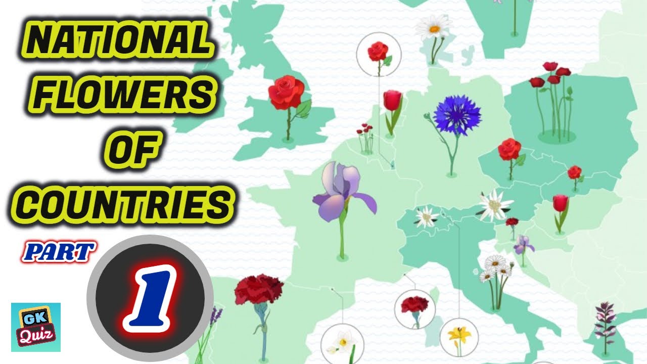 NATIONAL FLOWERS OF COUNTRIES|| QUIZ ON NATIONAL FLOWERS|| - YouTube