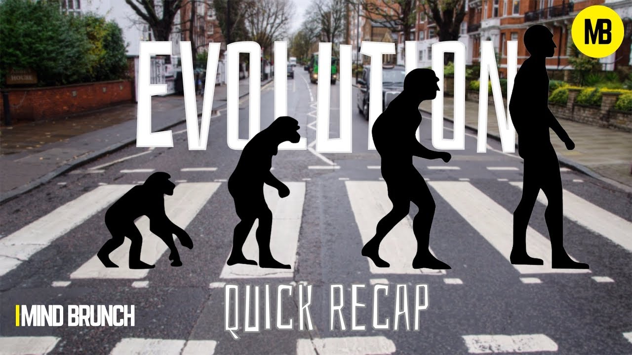 Subtle changes compounded over time (A quick recap of Human evolution ...