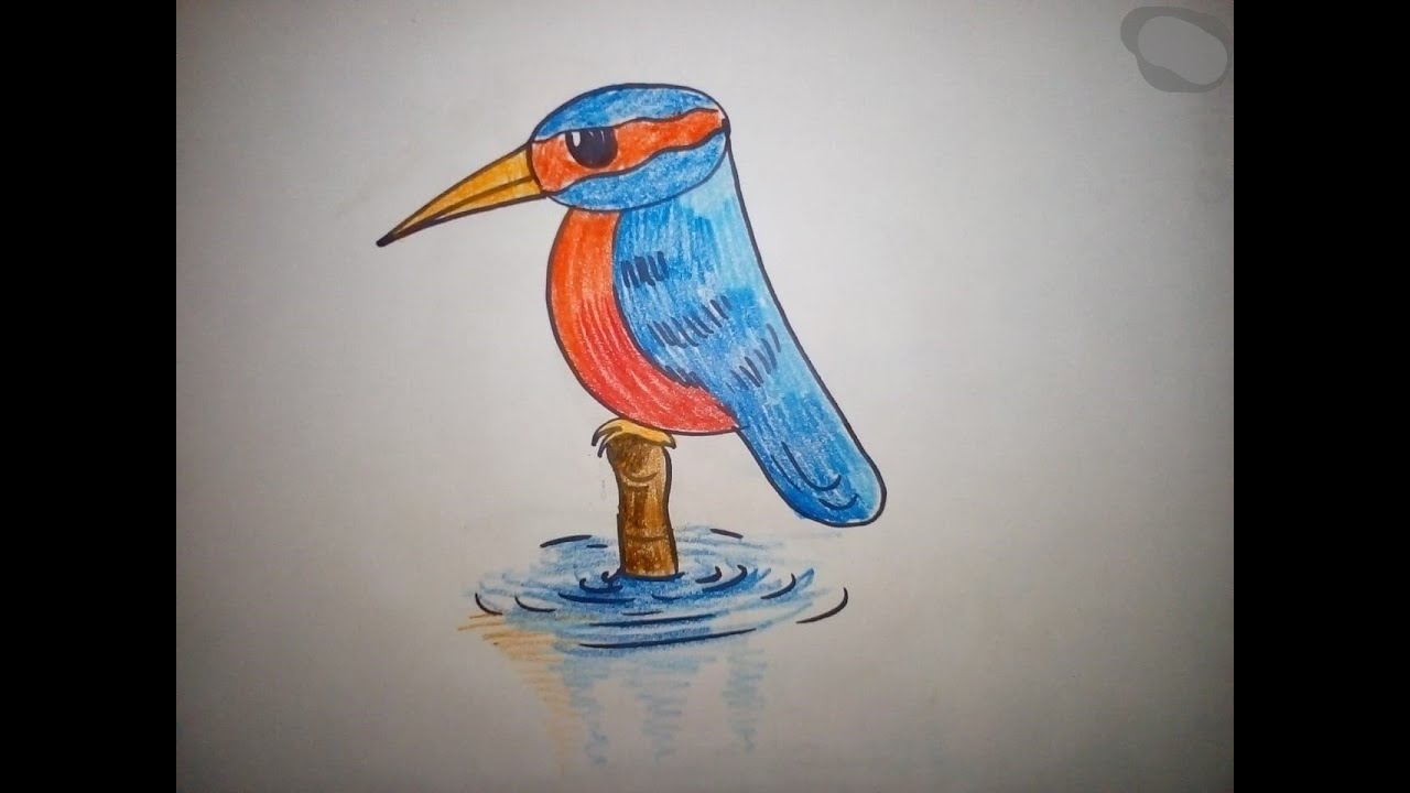 HOW TO DRAW HALCYON/Kingfisher (Very Easy Way) - YouTube