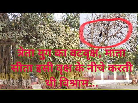 treta Yug ka vatvruksh,@SRbajirao - YouTube