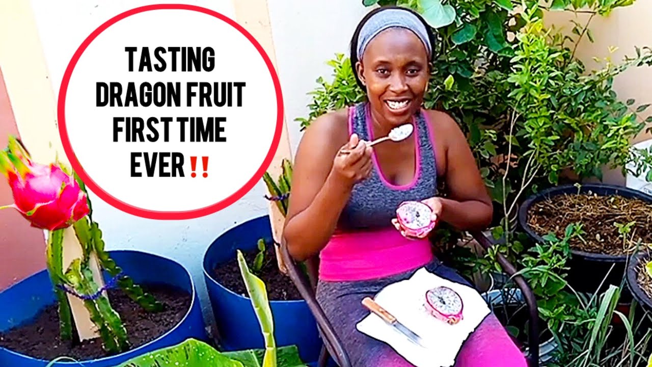 I'M TASTING DRAGON FOR THE FIRST TIME EVER! - YouTube