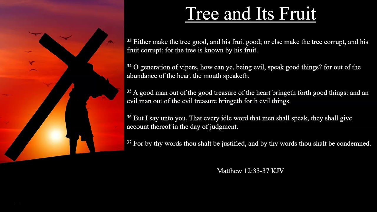 Bible Parable | Tree and Its Fruit - YouTube