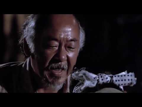 Karate Kid - Streichen Haus