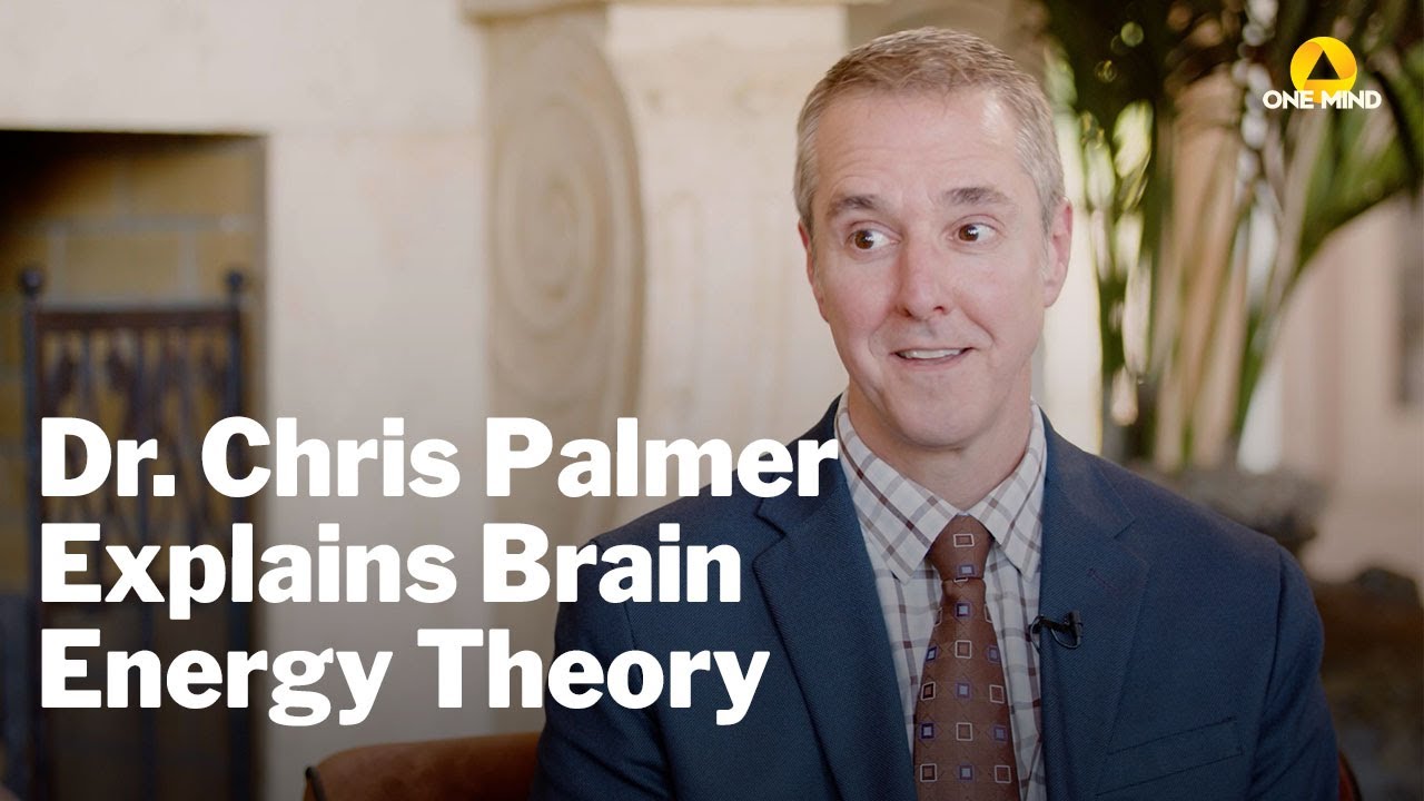 Mental Disorders as Metabolic Disorders of the Brain with Dr. Chris Palmer - YouTube
