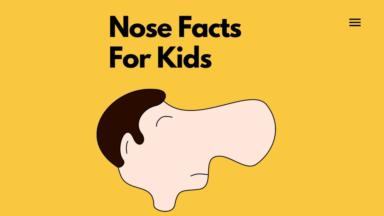 Some Interesting Facts About Nose For Kids - YouTube
