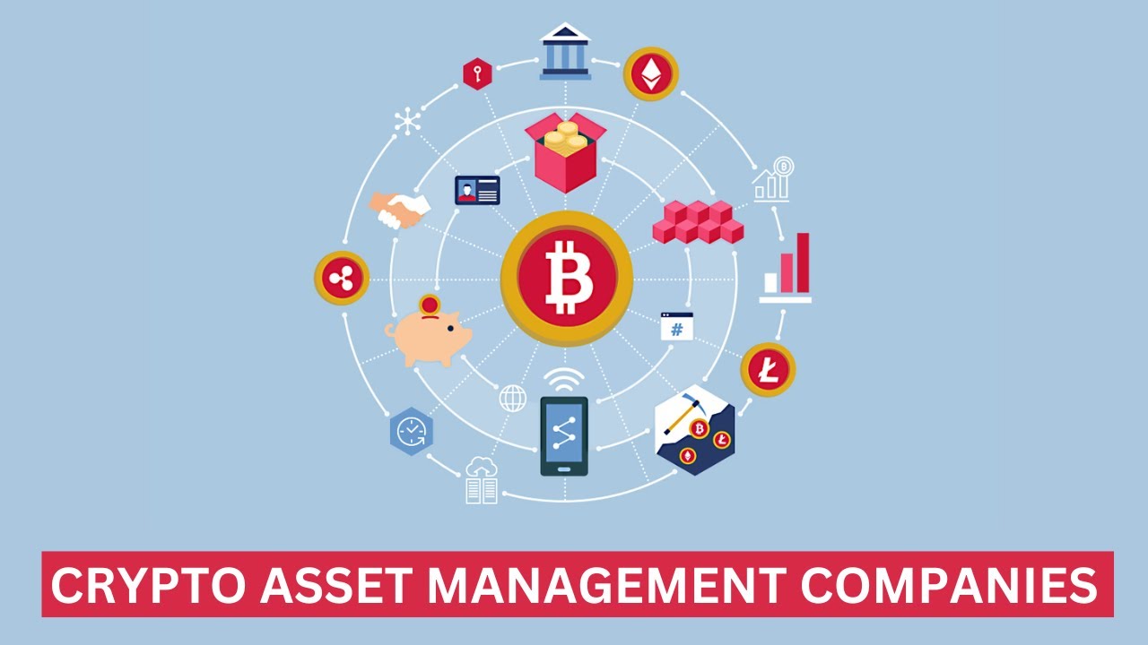 TOP Crypto Asset Management Companies to Check Out - YouTube