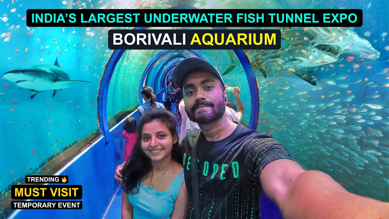 India's Largest Underwater Fish Tunnel Expo 🐟 Borivali Aquarium 🐬 ...