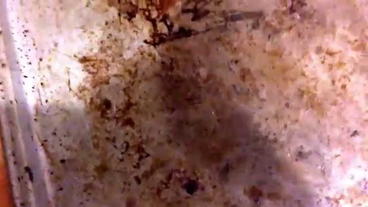 mmnnbbvvcc Dec 7, 2014 - YouTube