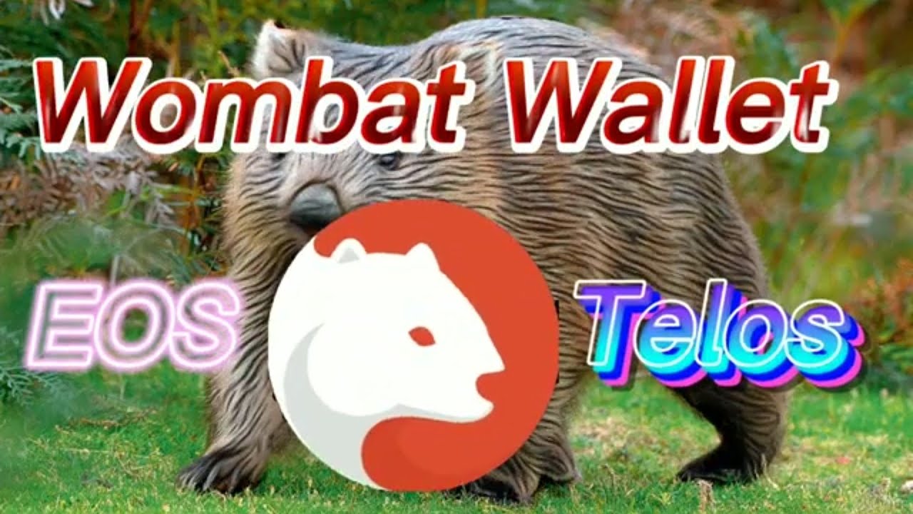 Wombat Wallet Create EOS Account, Womplay get EOS, Games, NFT, DeFi ...