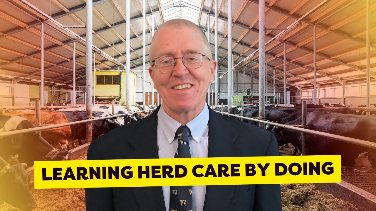 Training Future Dairy Vets - Dr. Stephen Wadsworth - YouTube