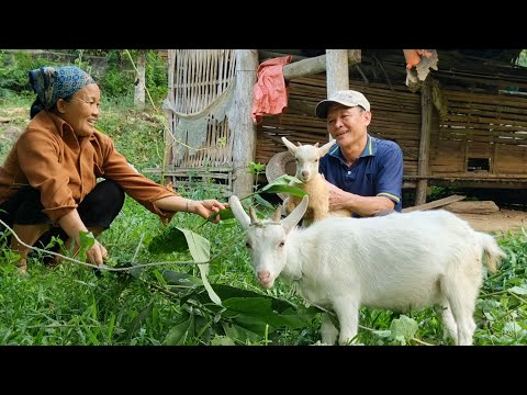 With more jobs available, Ms. Lien and Mr. Vinh are filled with hope for the future.