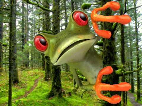 Funny Birthday Song (Tango the Tree Frog)