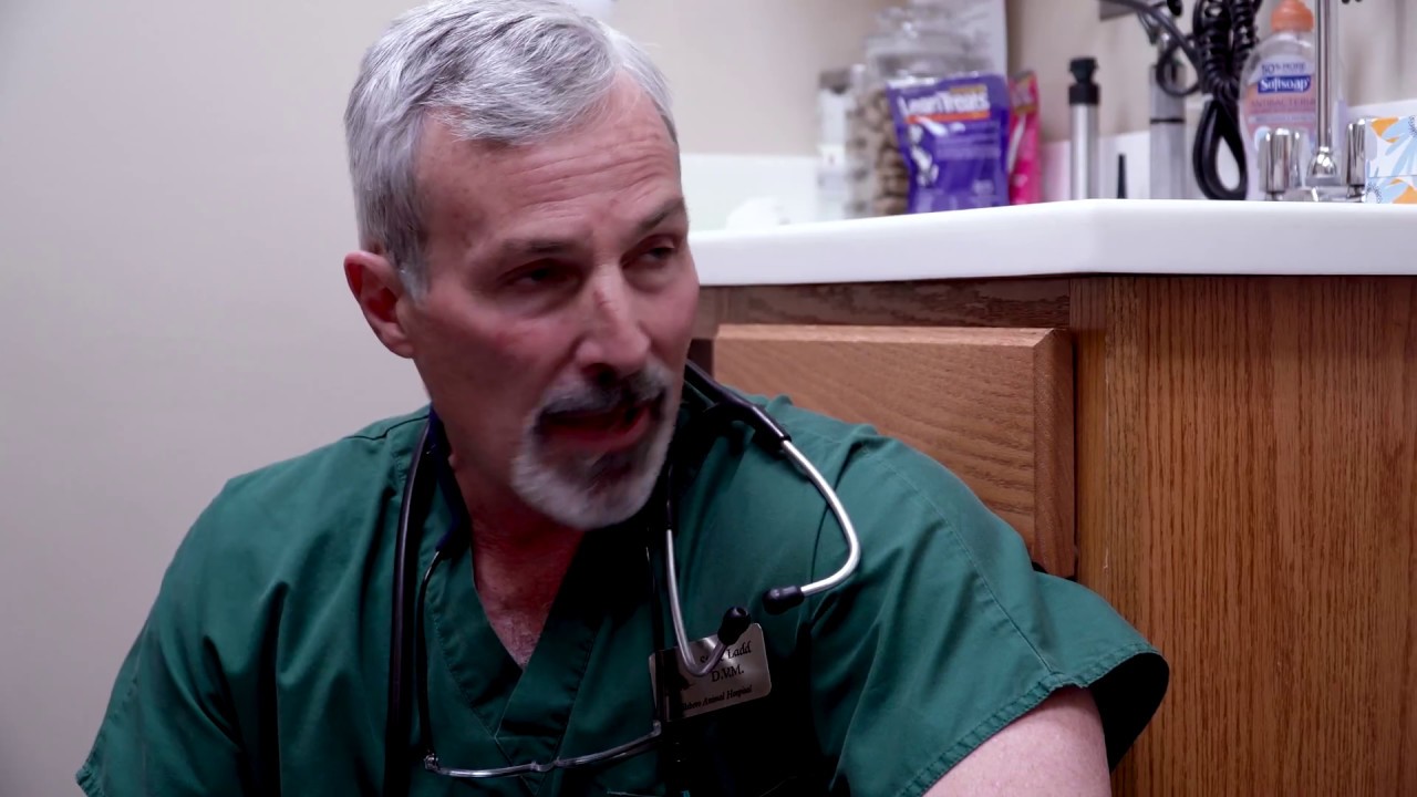 Distinguished Service - Dr. Steve Ladd - YouTube