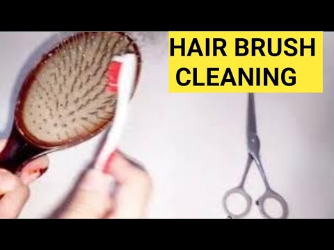 How to Clean Hair Brush at Home | Saliha Kitchen Hack - YouTube