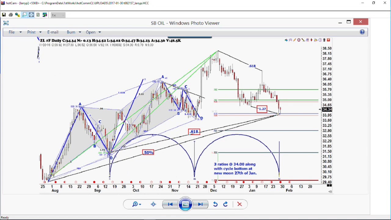 January 30th Trade What You See with Larry Pesavento on TFNN - 2017 ...