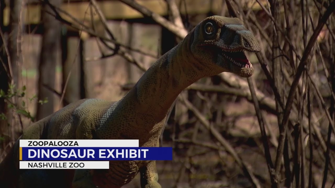 'DinoTrek' at Nashville Zoo - YouTube