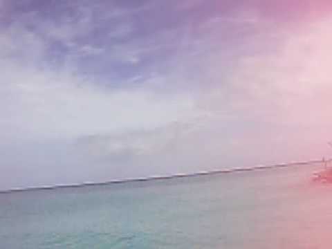Eagle ray breaching at Heron Island - YouTube