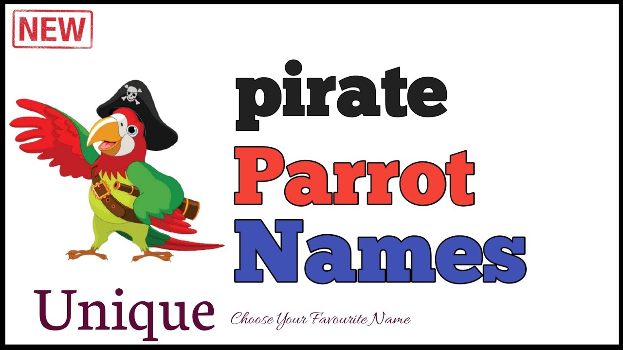 UNIQUE & CUTE Pirate Parrot Names Male and Female || NamoLogy - YouTube