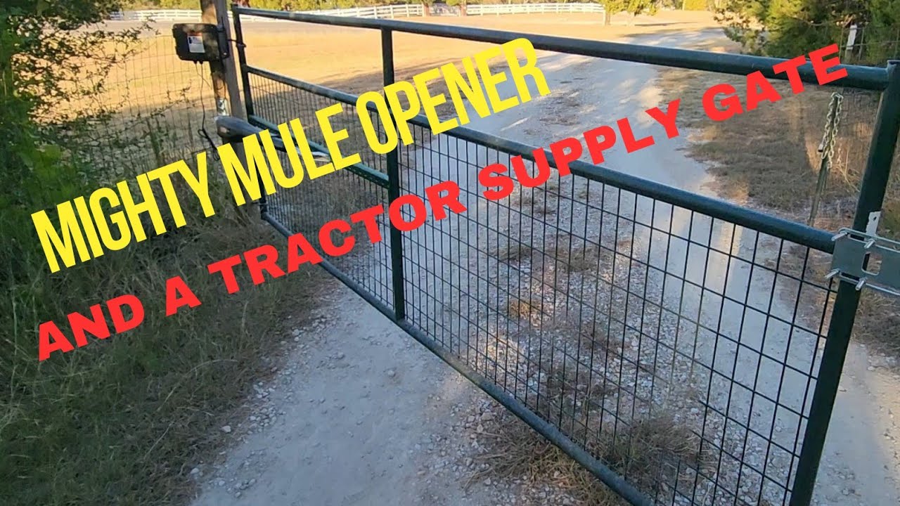 Mighty Mule gate opener.. and a Tractor Supply gate. - YouTube