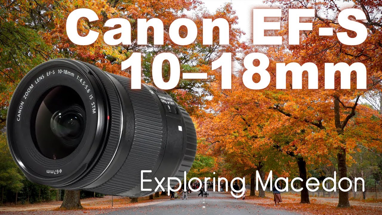 A fabulous wide angle lens for Canon | A budget beast for the Canon R50 ...