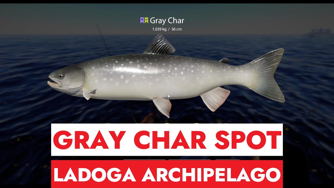 RF4 - RUSSIAN FISHING 4 - GRAY CHAR SPOT -LADOGA ARCHIPELAGO - YouTube
