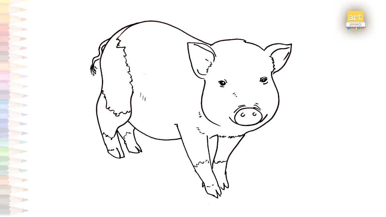 Pig drawing video | Pig outline sketches | How to draw A Pig step by ...
