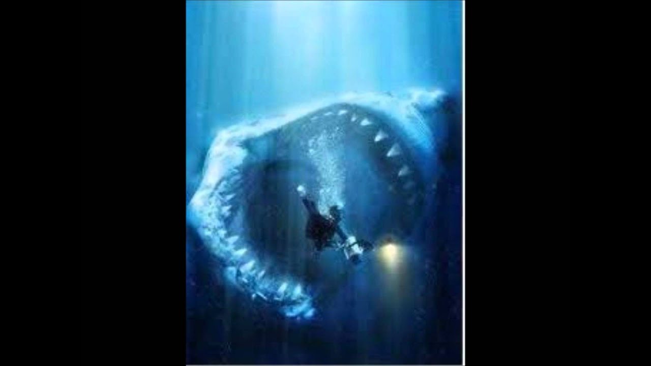 Huge Megaladon shark SIGHTINGS!! 2011 - YouTube