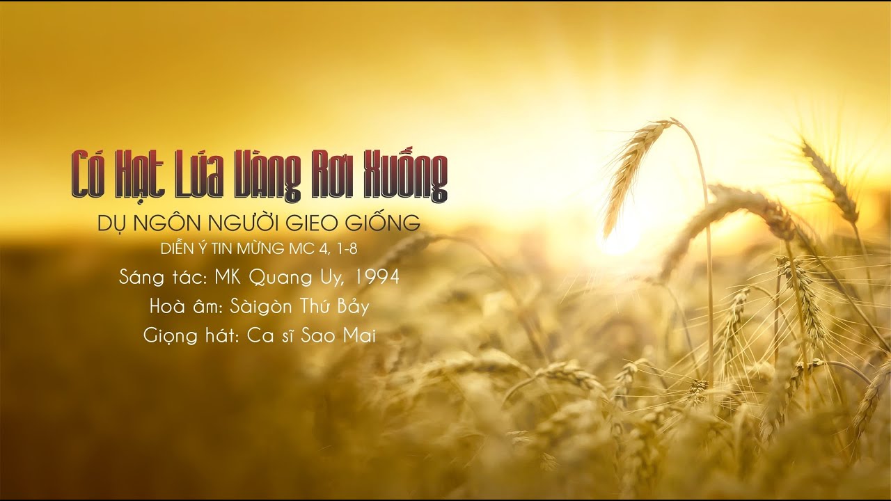 CO HAT LUA VANG RƠI XUỐNG, Dụ ngôn Mc 4,1-8 - Sáng tác: MK QUANG UY ...