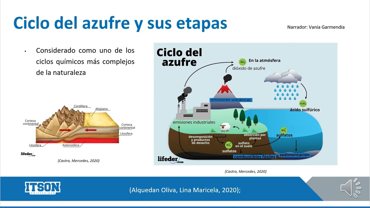 El ciclo del azufre - YouTube