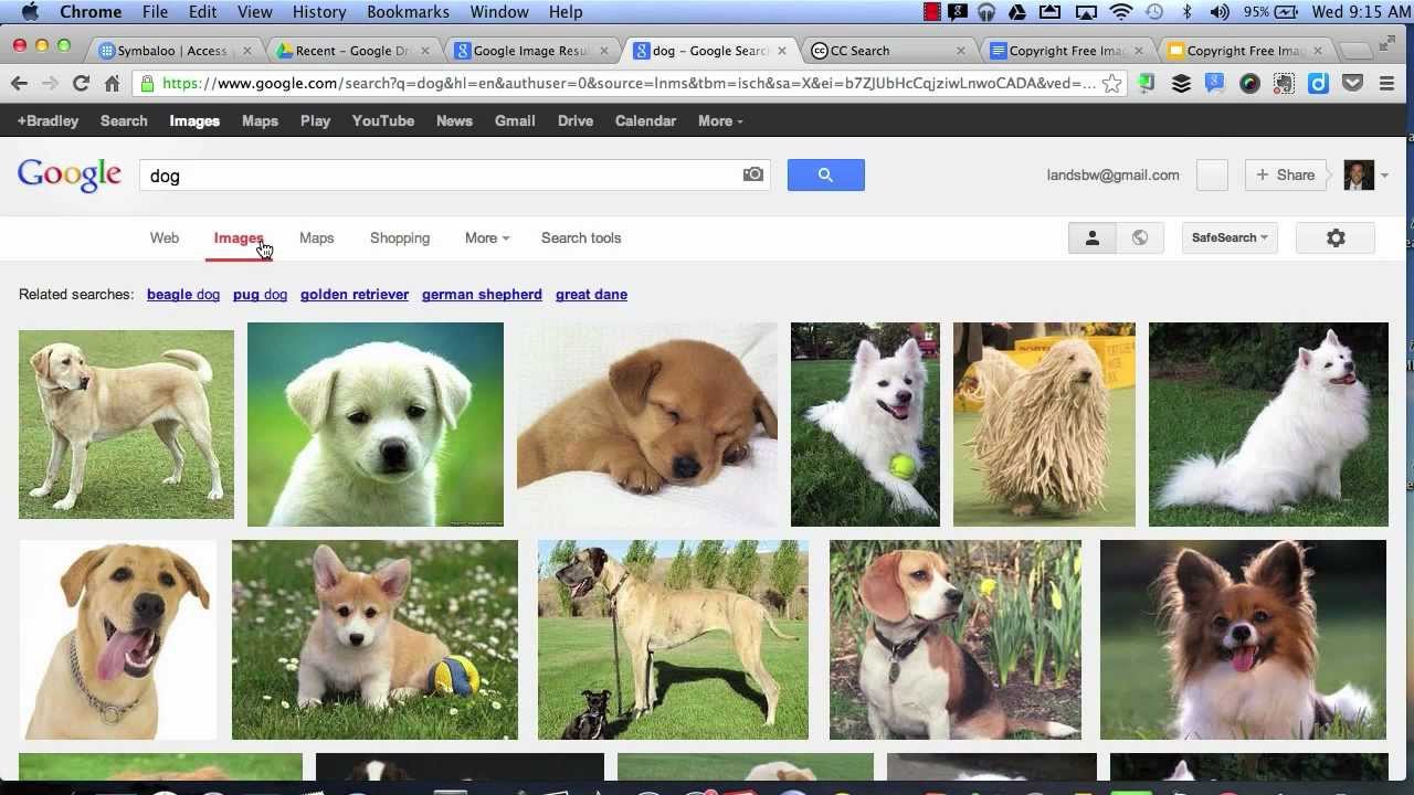 Copyright Free Image Search - YouTube