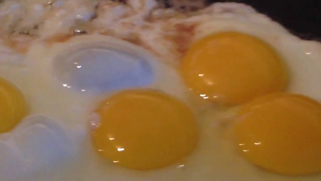 Cooking with Jactus (AND SEAGULL) | Un-Edible Eggs | Episode 3 - YouTube