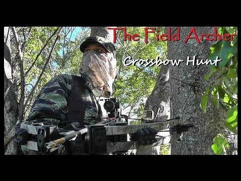 Crossbow Deer Hunting: Center Point Sniper 370 Hunt - YouTube